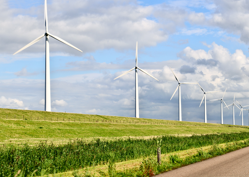 Bi-Monthly Sustainability News Headlines